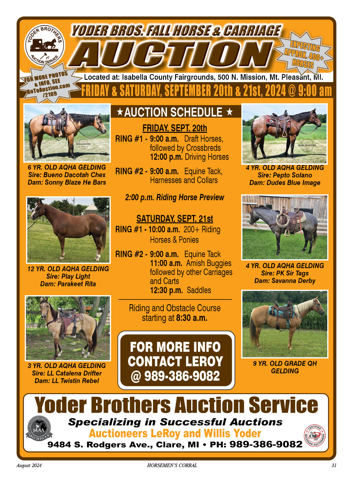 Yoder Bros. Fall Horse & Carriage Auction